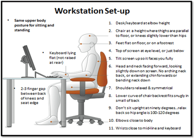 Workstation Ergonomic Set Up